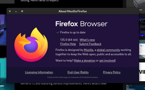 Вышел Firefox 135.0 » Техноновости